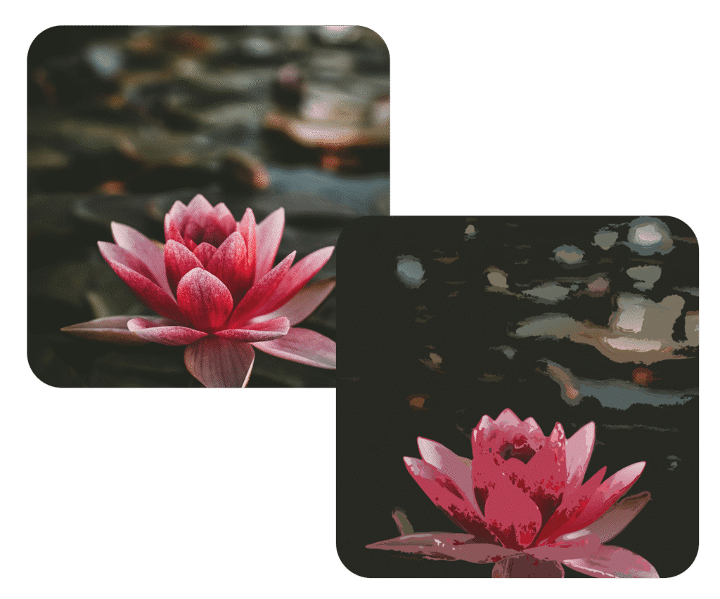 AI Image to Vector Converter | Free PNG & JPG to SVG Online