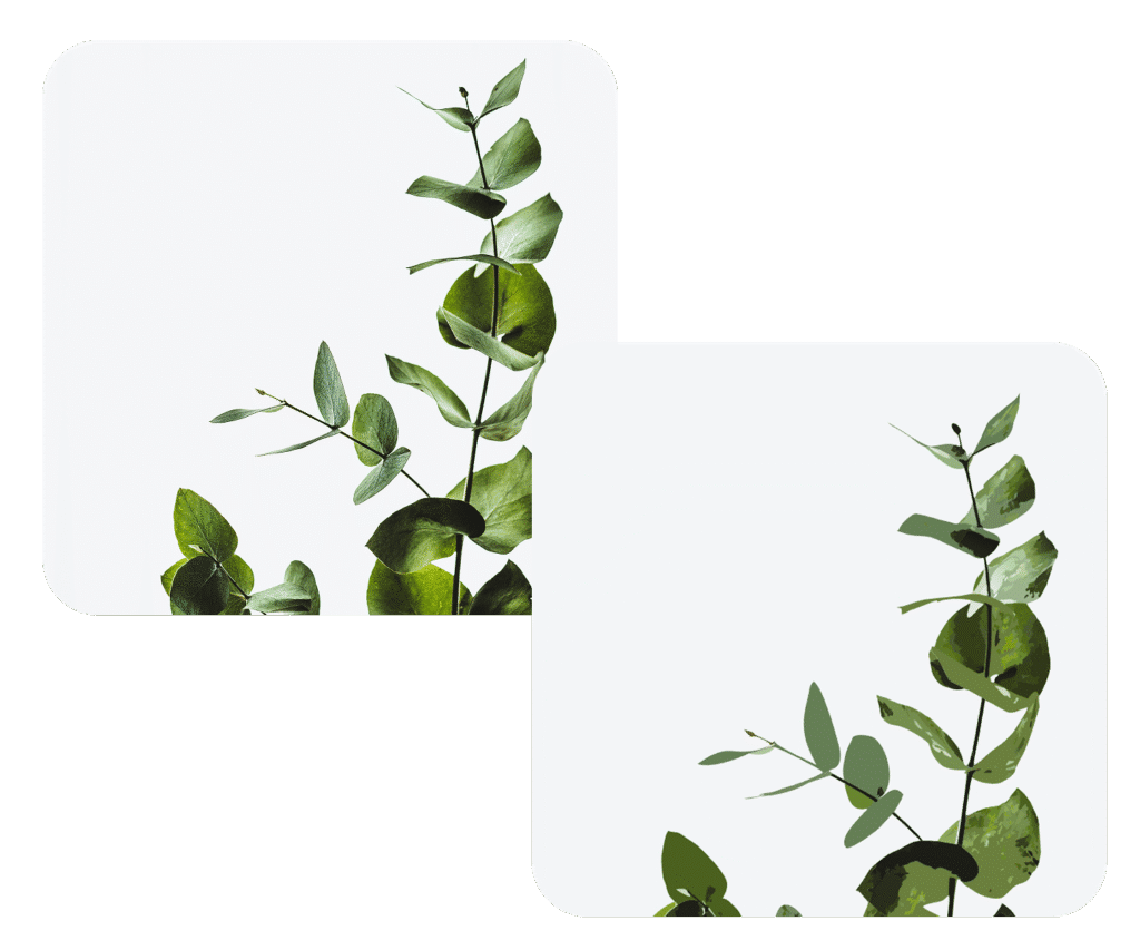 AI Image to Vector Converter | Free PNG & JPG to SVG Online